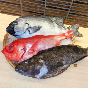 今週のおすすめ魚種のご紹介 | SUSHI SAKE いぶき 東京駅 TEKKO avenue店